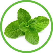 Venoptim | Gyógyszer Nélkül